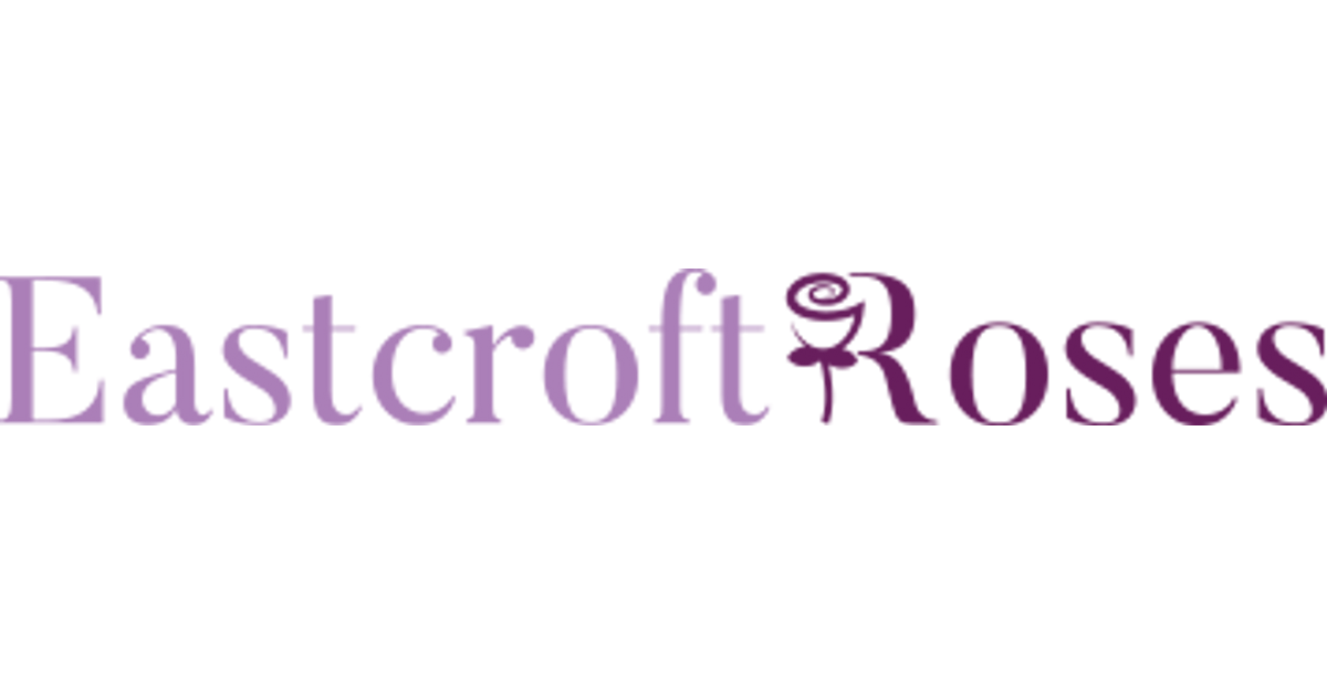 Products – Eastcroft Roses